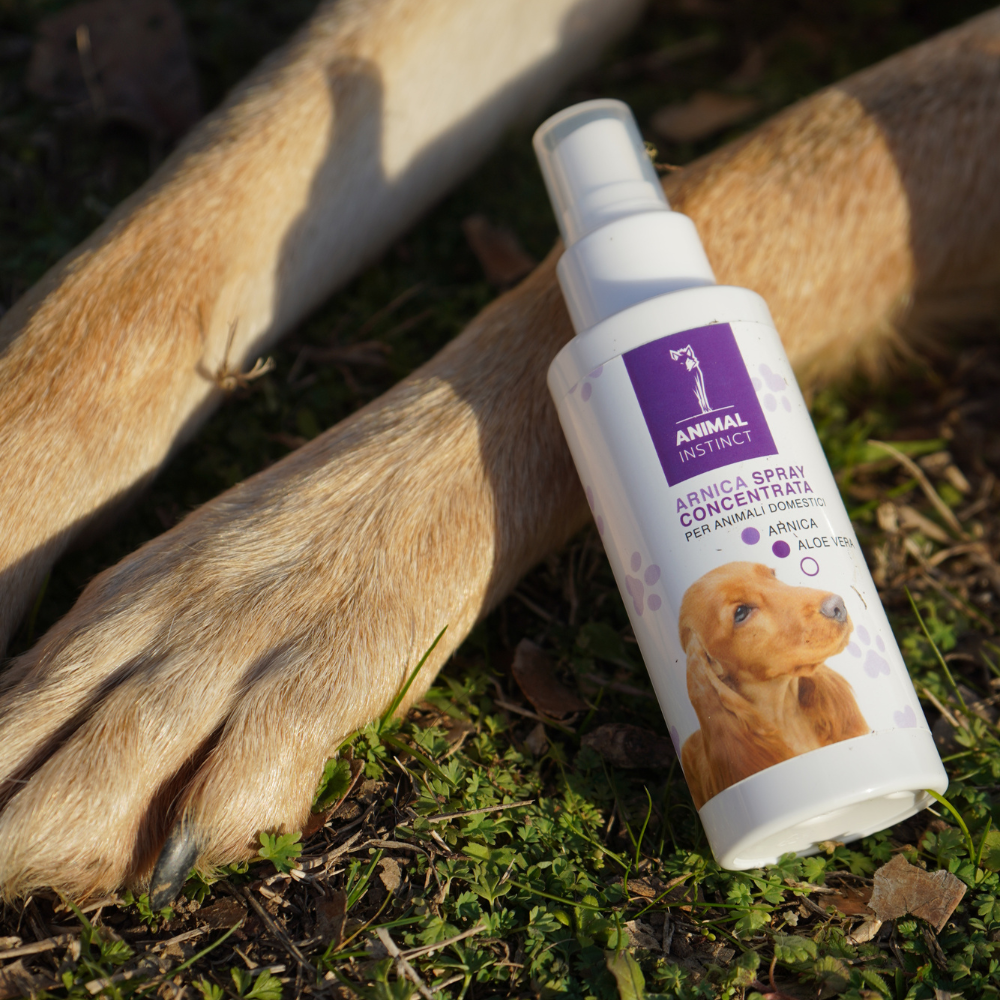 Spray Arnica – Animal Instinct