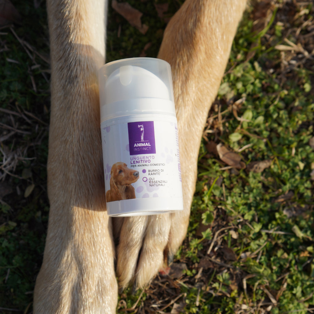 Animal Instinct Shop