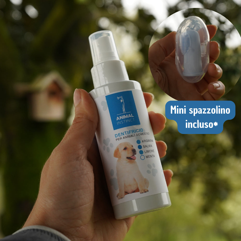 Animal Instinct Shop