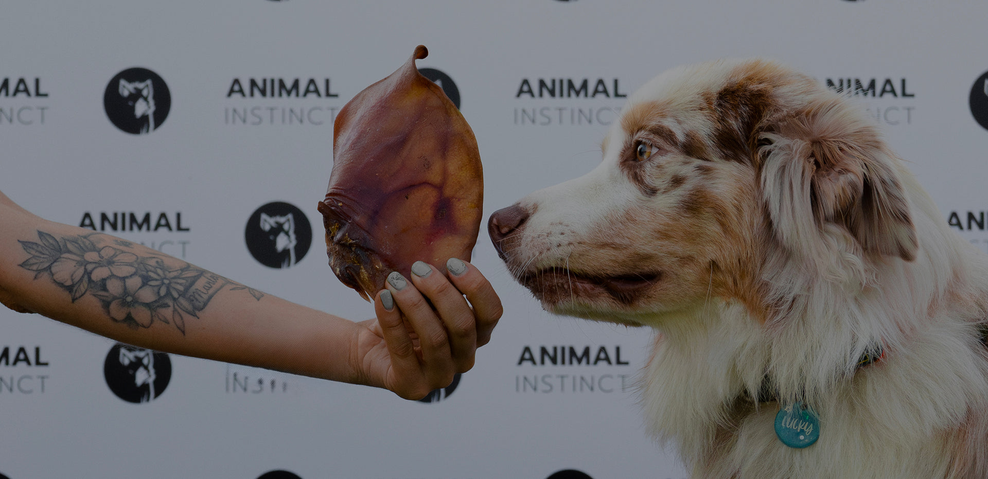 Animal Instinct|Snack Naturali e prodotti per il benessere del tuo pet