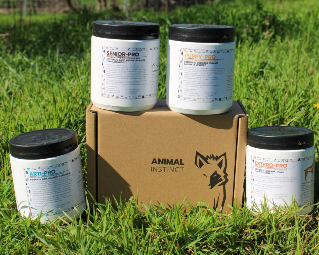 Animal Instinct Shop